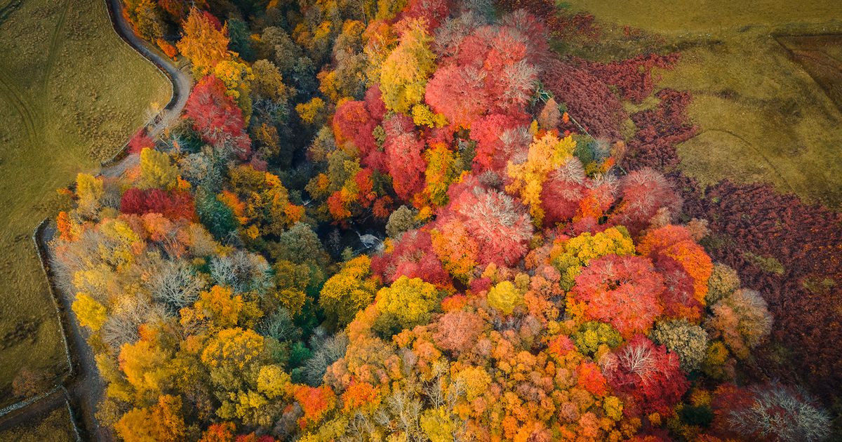 Why Autumn is the Perfect Season to Start Exploring on an E-Bike - Volt ...